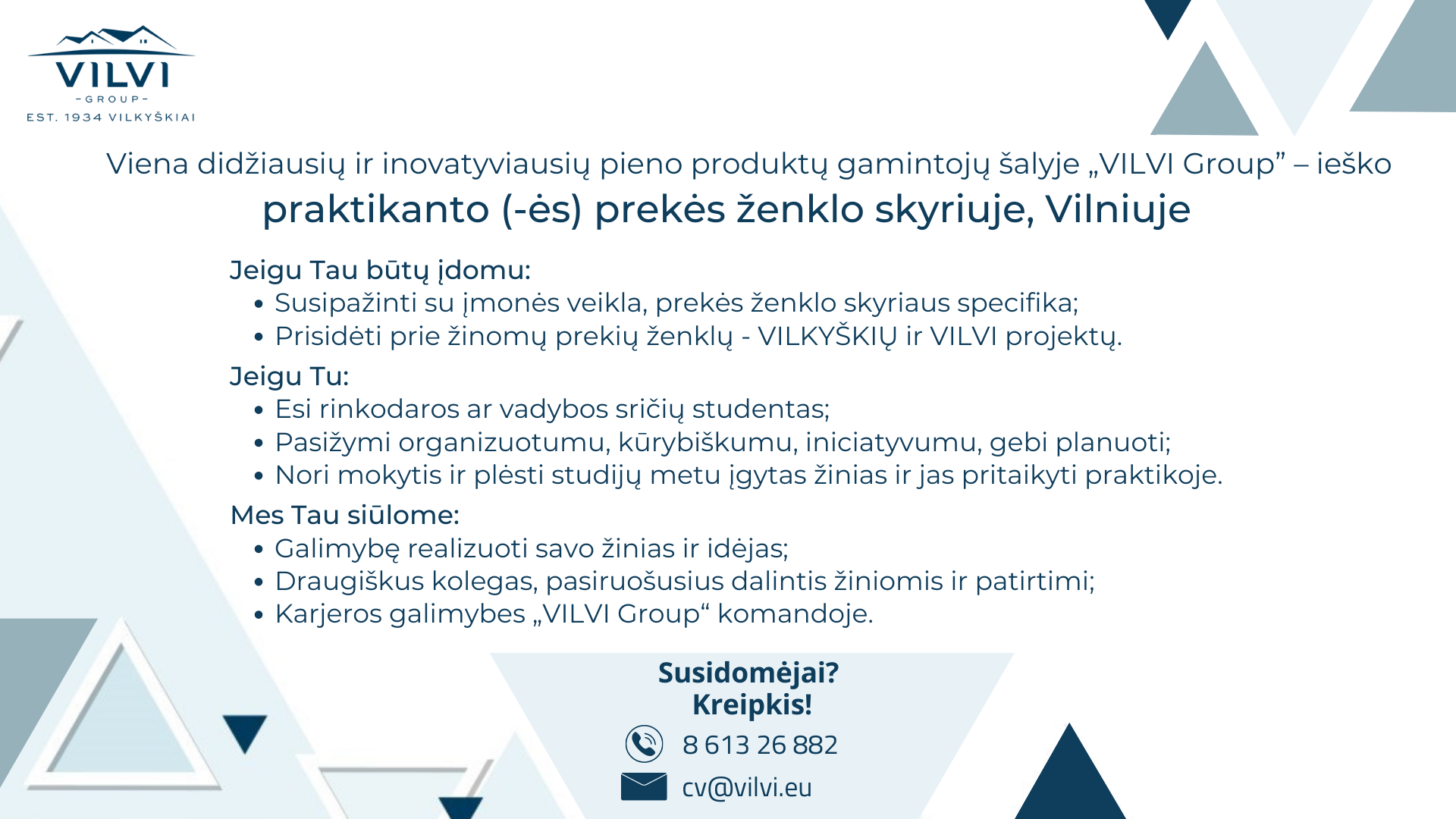 Praktika „VILVI Group“ prekės ženklo skyriuje (Vilniaus biure) – Karjera